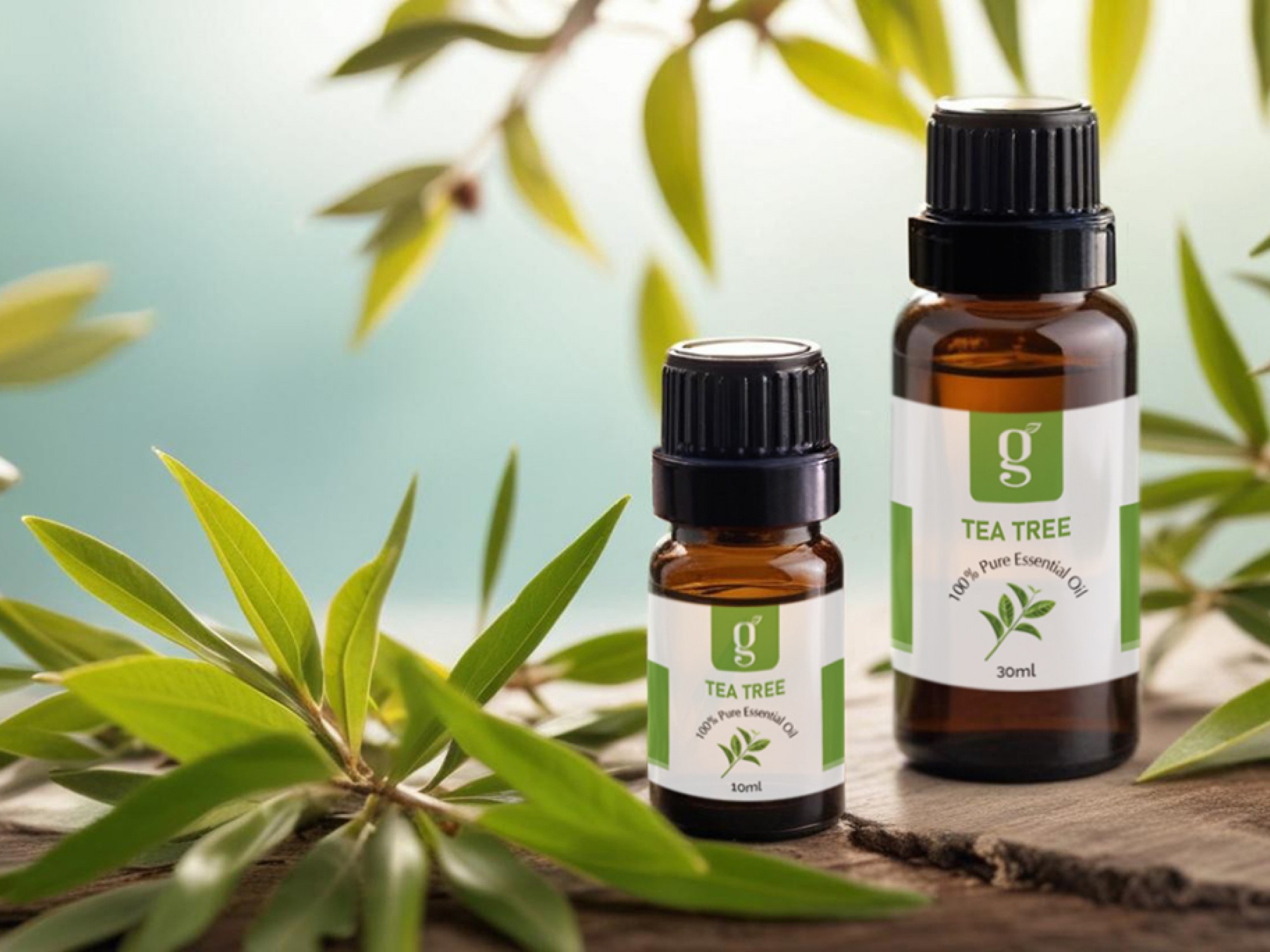 Tea Tree Essential Oil